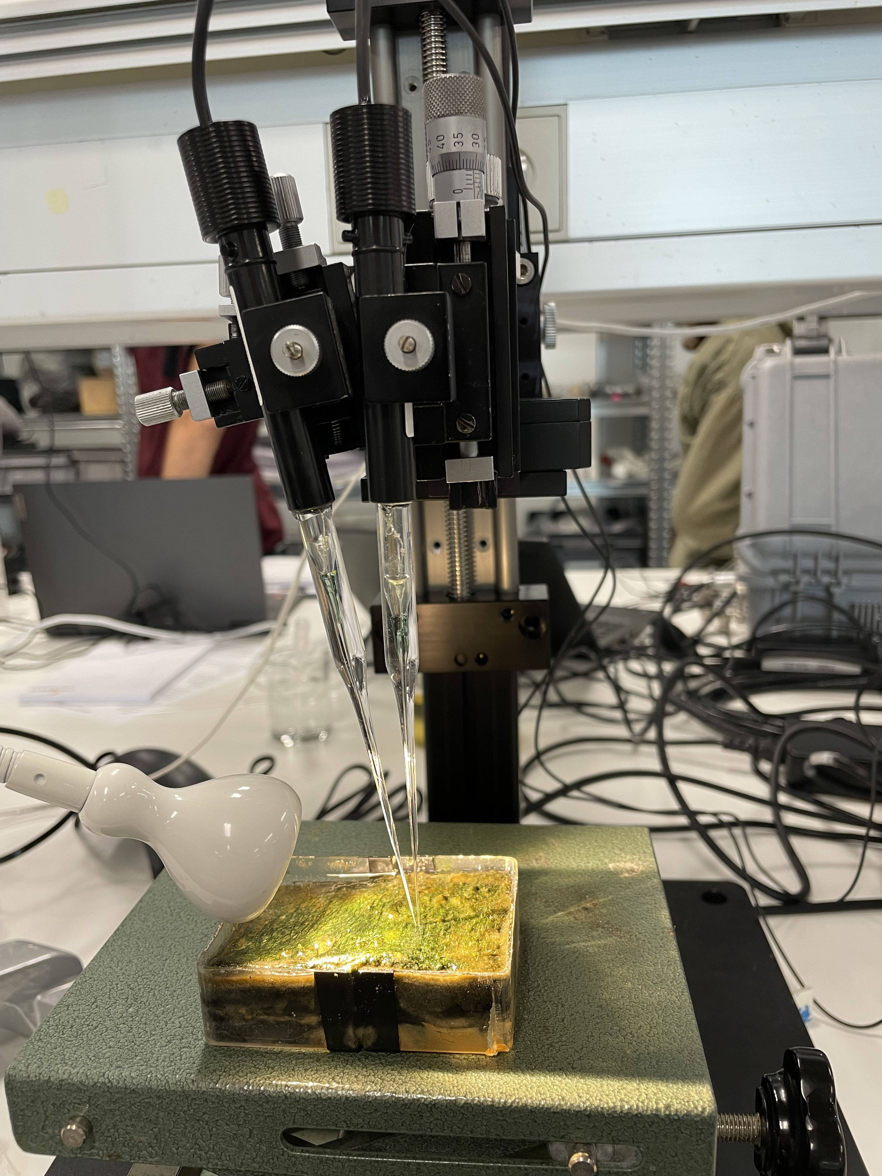 In-person workshop at Unisense – Sara Benelli